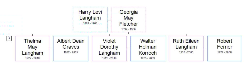 Harry Levi Langham's Children - Ancestor Cult